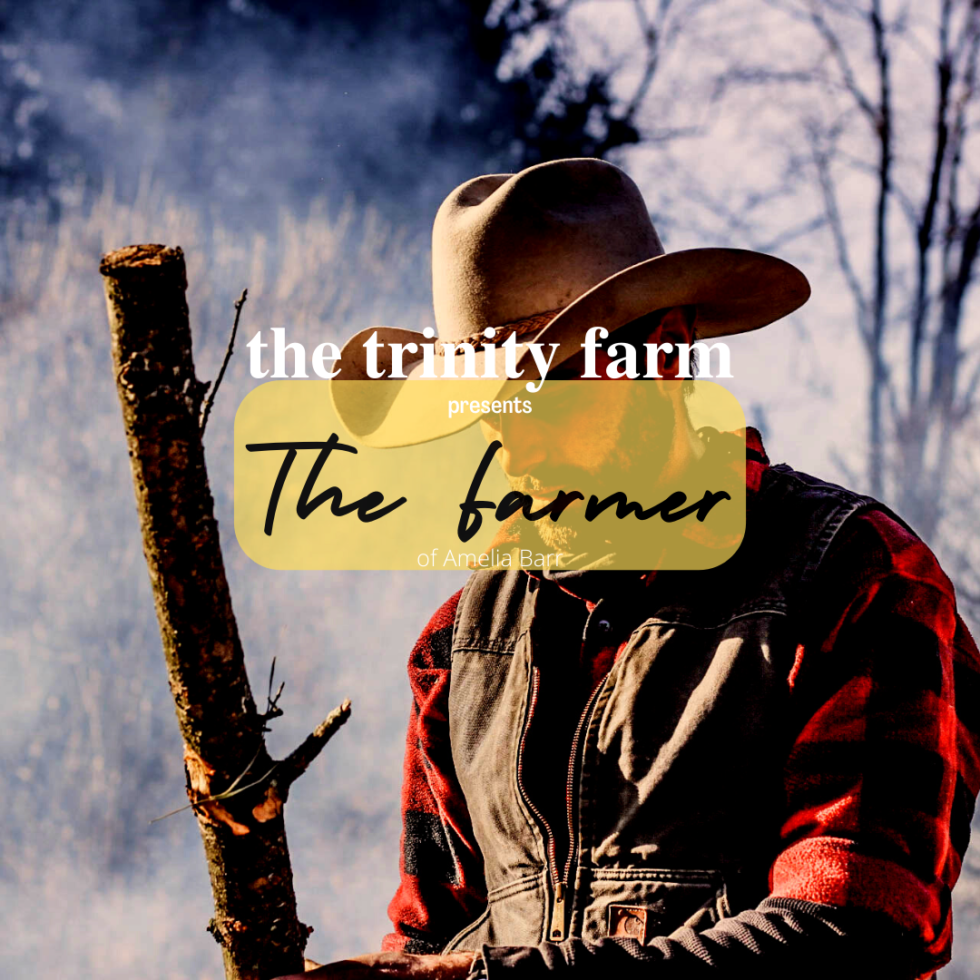 Trinity Farm – Βιοδυναμικό Αγρόκτημα